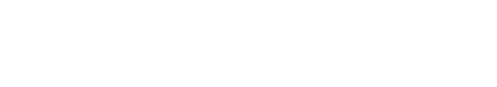 Home - Texans for Strong Borders