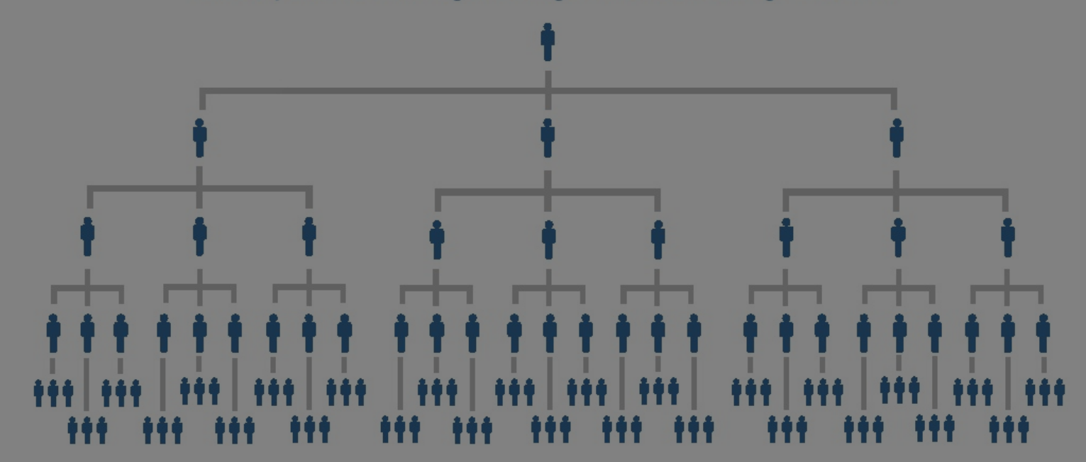 Issues - Texans for Strong Borders